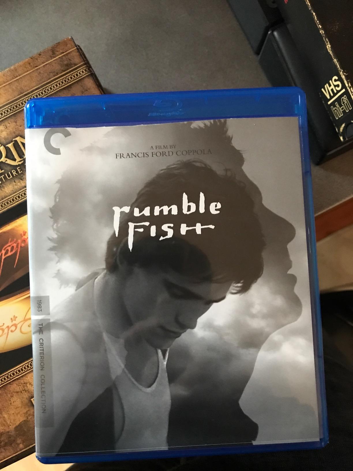 Amazon.com: Rumble Fish [Region 2] : Matt Dillon, Mickey Rourke, Dennis ...