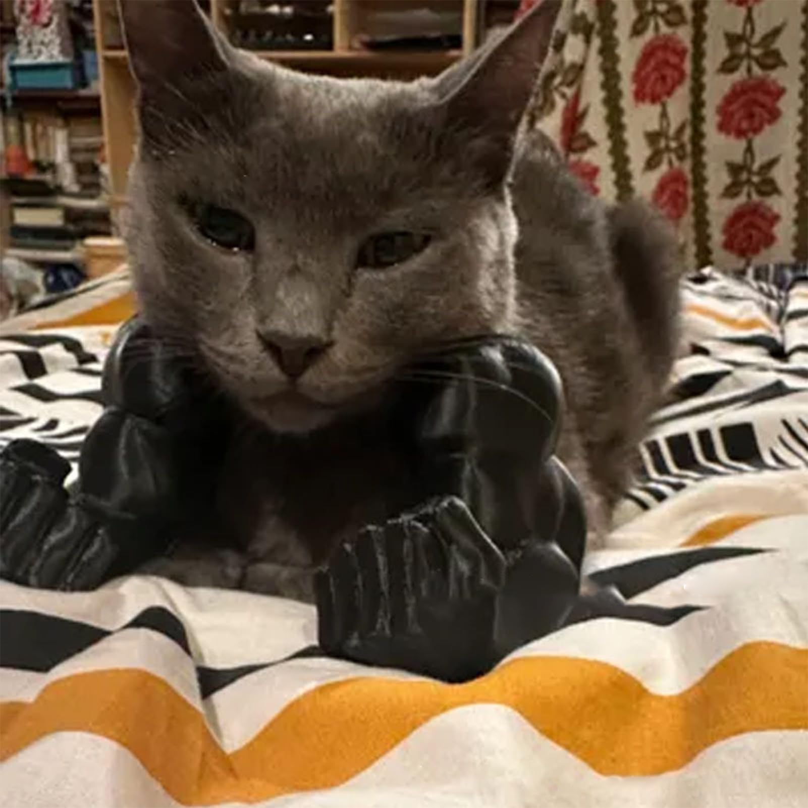 Pet Photo Prop Arms Muscular Arms For Cats - Hilarious 3D Printed ...
