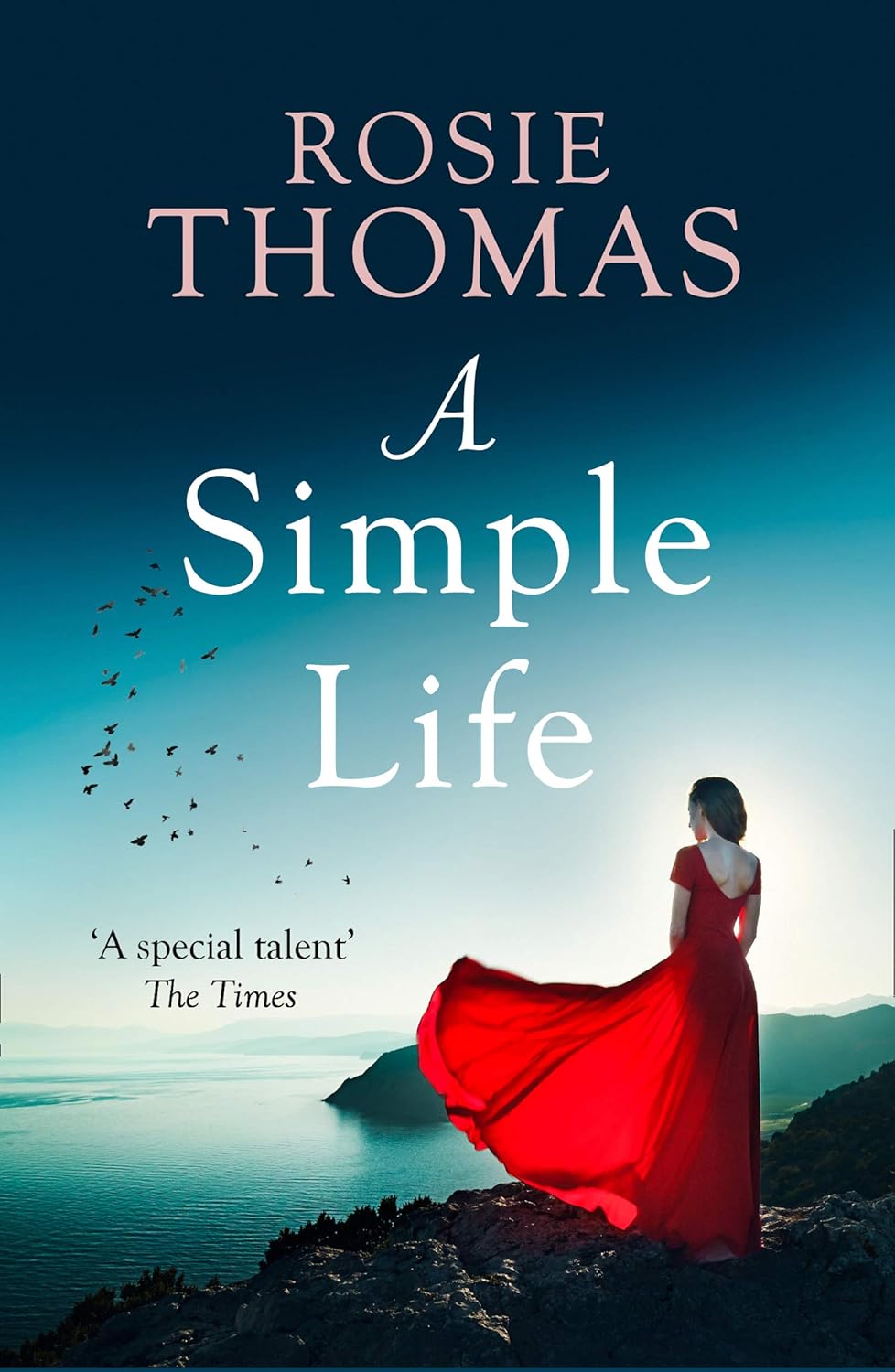 A Simple Life: An Emotional Domestic Suspense Novel of Secrets and ...