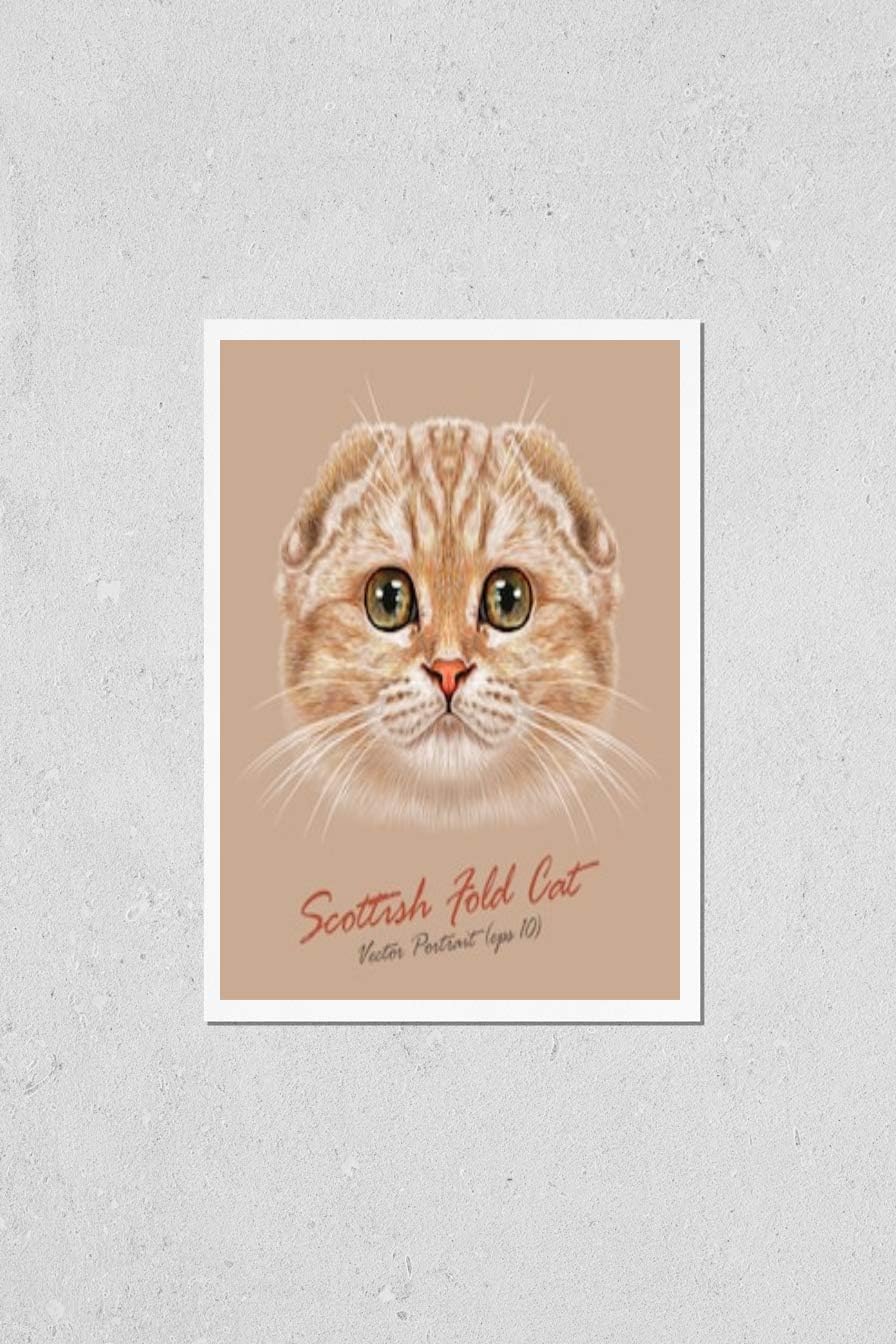 Amazon.com: Wall Art Poster Print of Scottish Fold Cat Animal Cute Face ...