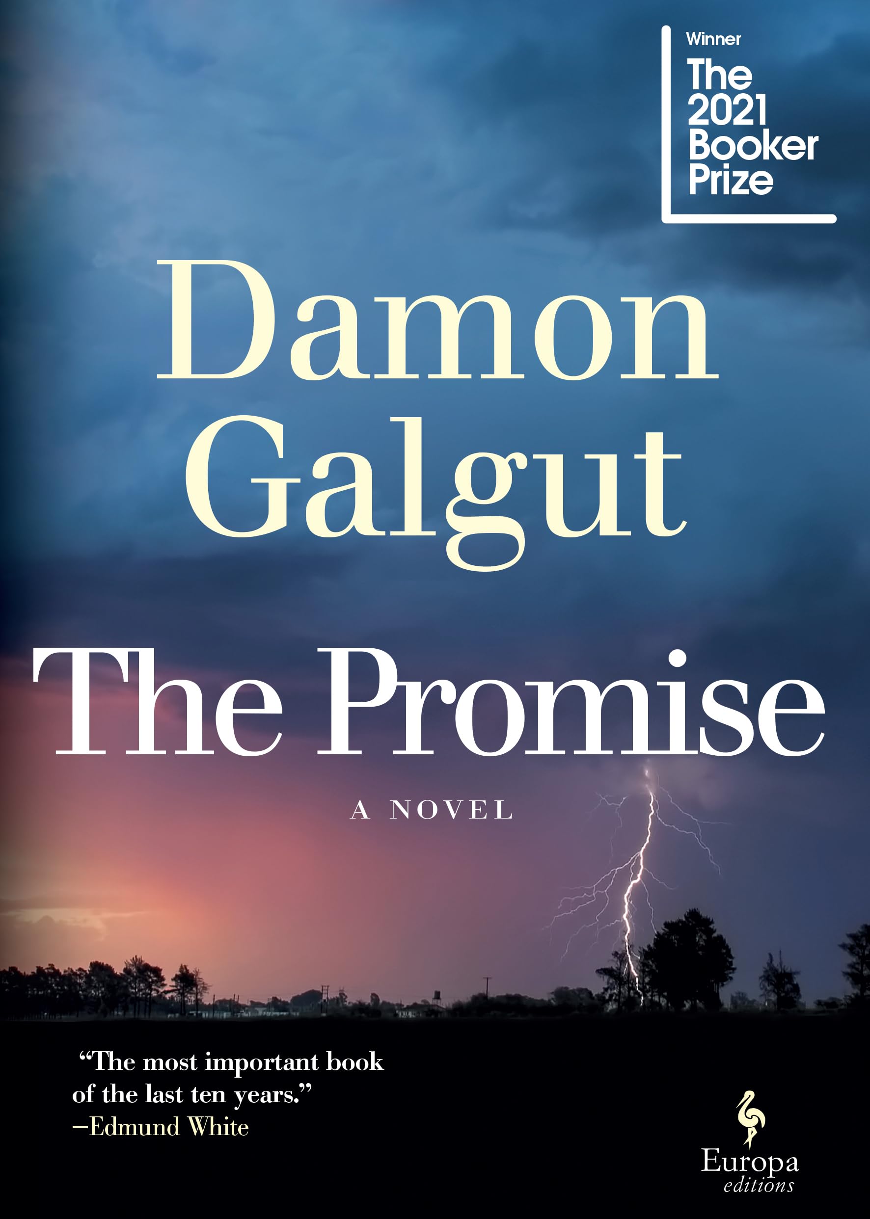 The Promise: A Novel (Booker Prize Winner) : Galgut, Damon: Amazon.ca ...