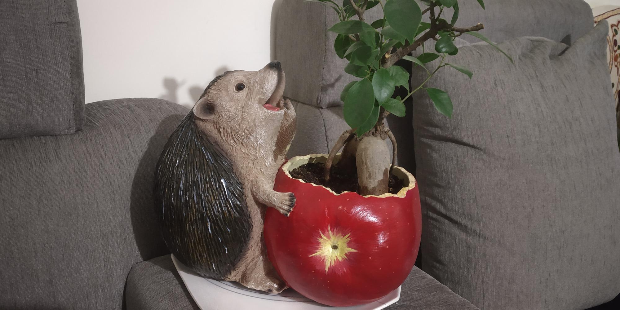 Wonderland: Fat Hedgehog Flower Pot (Garden Planters, Home and Garden ...