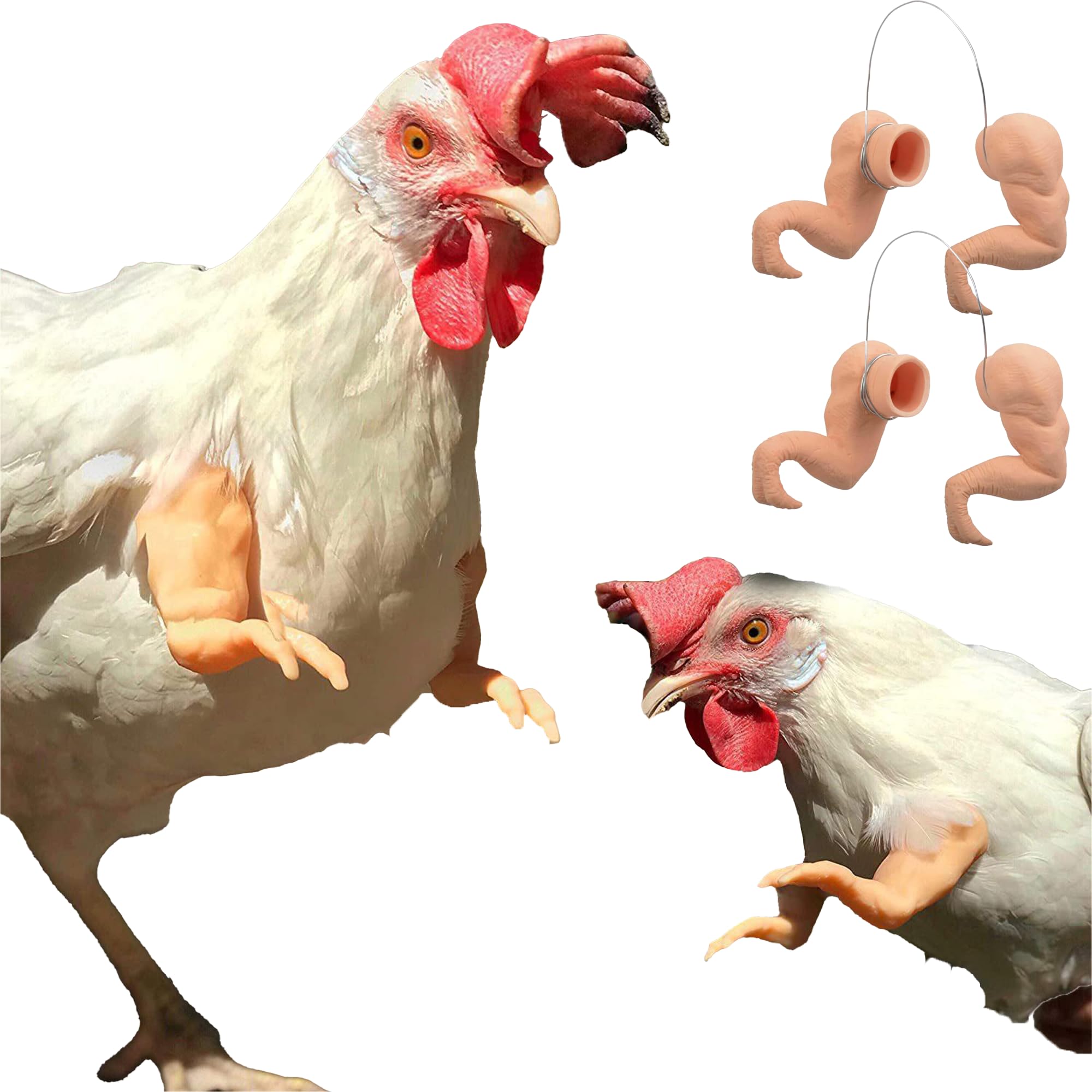 Hen Claws