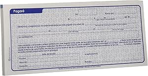 Arpapel ER0123 Pagare Euroformas Papel Seguridad 21.6X9.3 Cms 100H ...