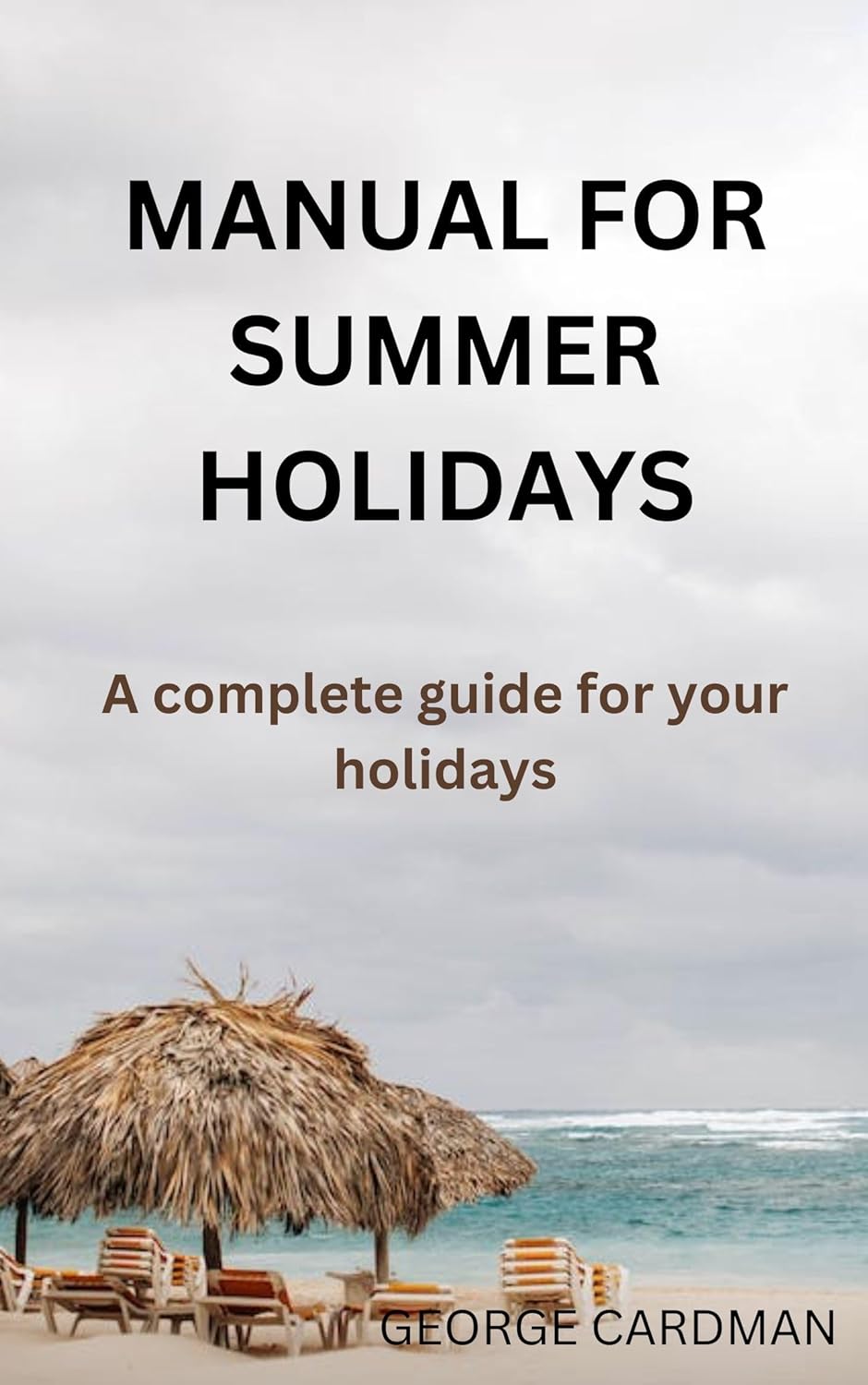 Amazon.com: MANUAL FOR SUMMER HOLIDAYS: A complete guide for your ...