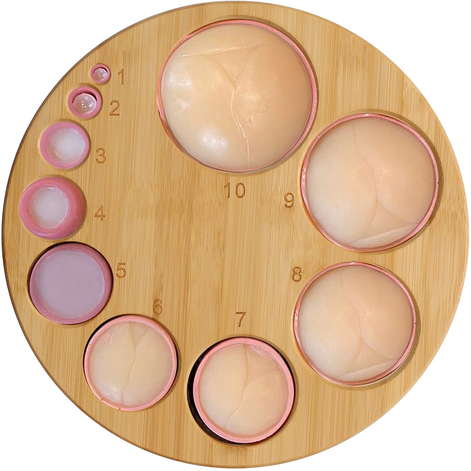 Cervical Dilation Board - Cervical Dilation Board Australia | Ubuy
