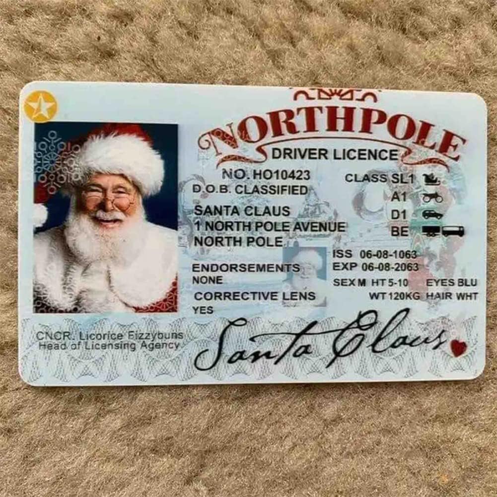 Amazon.com: Santa Claus Lost Drivers License Christmas Decorations ...