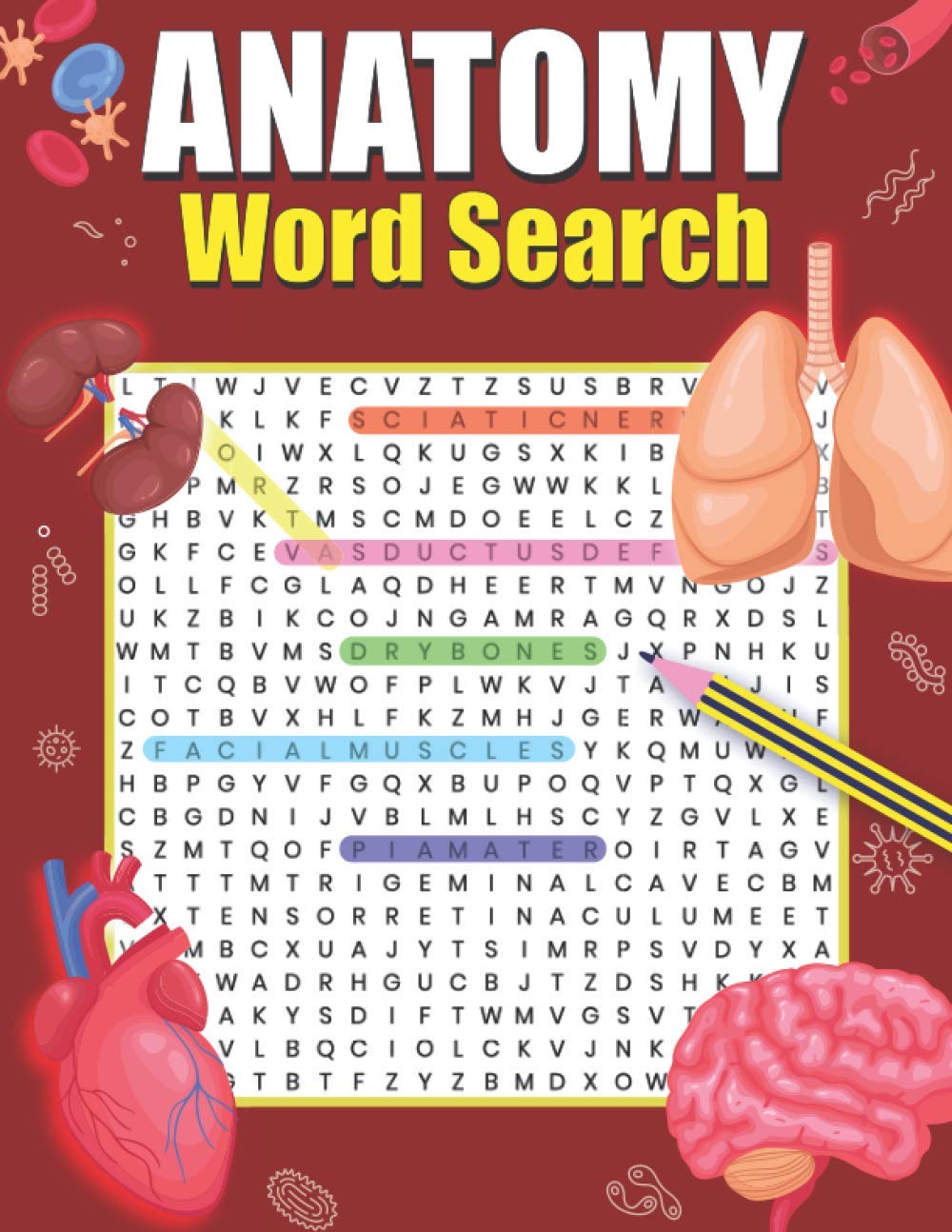 Anatomy Word Search: Adult Word Search, Brain Games, Anatomy Puzzle ...
