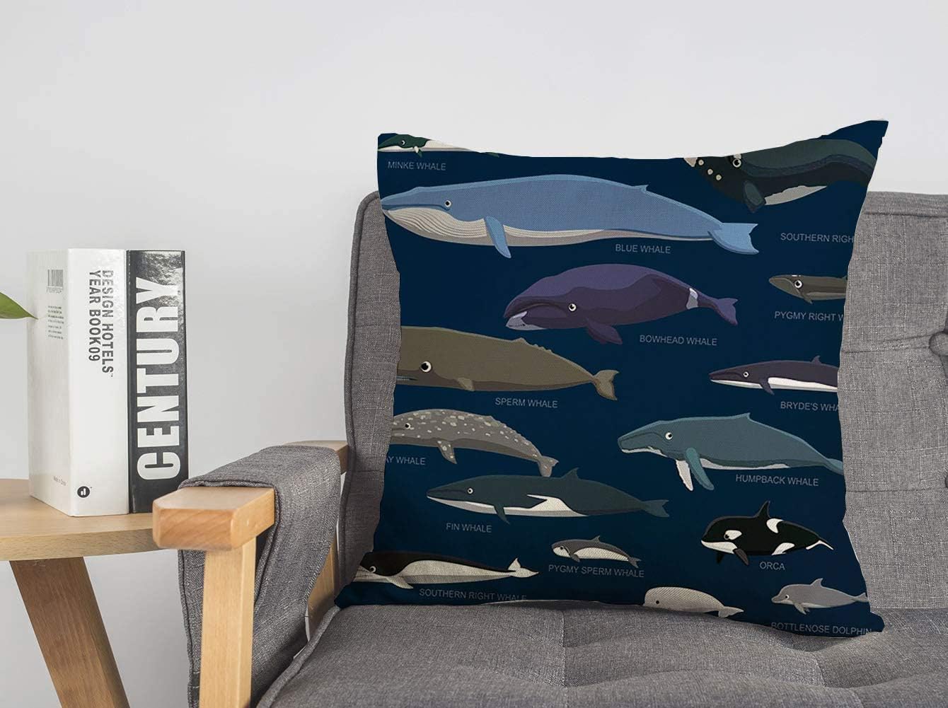 Amazon.com: Pillow Case Whales Species Size Comparison Set Orca Ocean ...