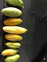Fresh Parwal, 250 g : Amazon.in: Grocery & Gourmet Foods