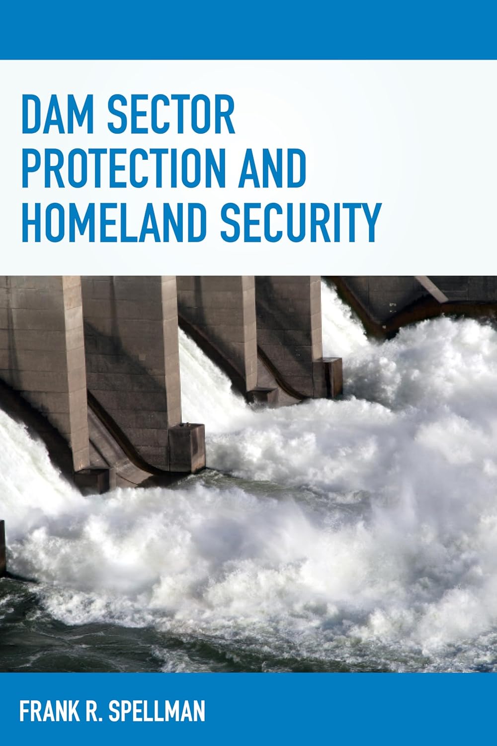 Dam Sector Protection and Homeland Security (Homeland Security Series ...