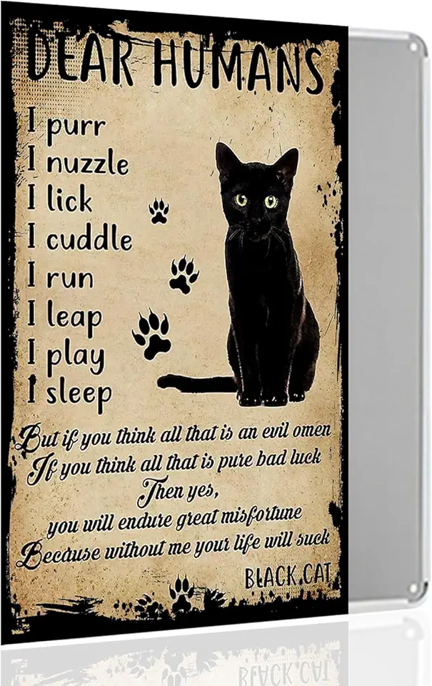 Black Cats: Human-Like Personalities And Their Unique Traits | PetShun