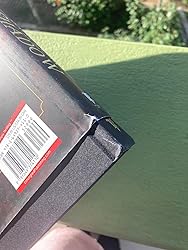 Sanctuary of the Shadow (Elemental Emergence, 1): Ascher, Aurora: 9781649374110: Amazon.com: Books