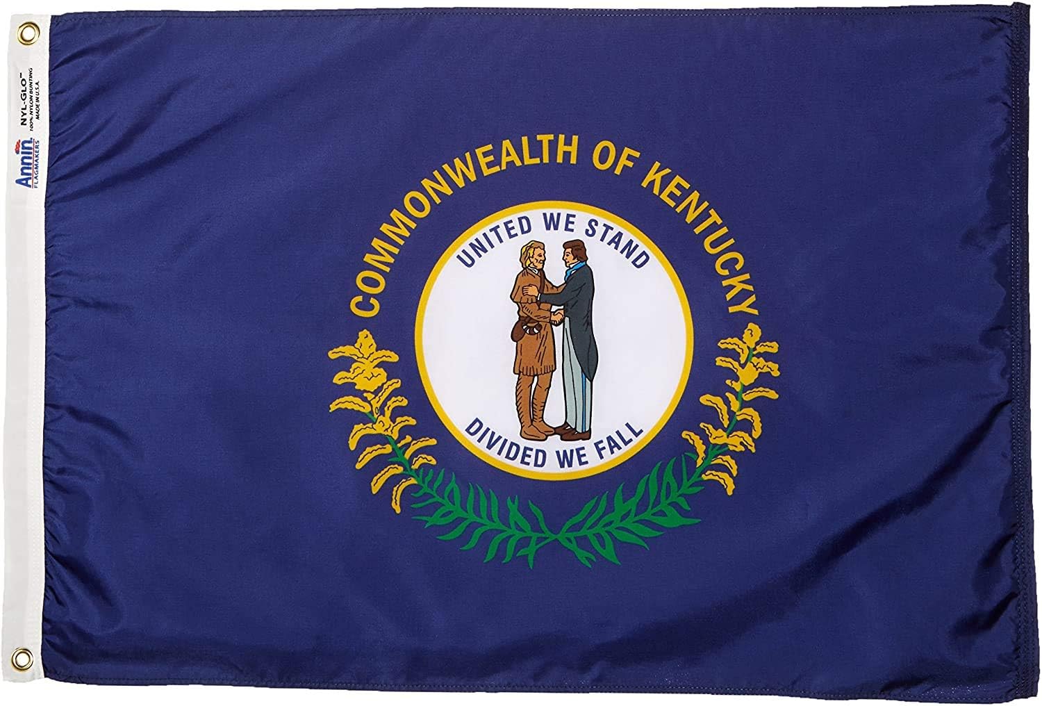 Amazon.com: Annin Flagmakers Kentucky State Flag USA-Made to Official ...