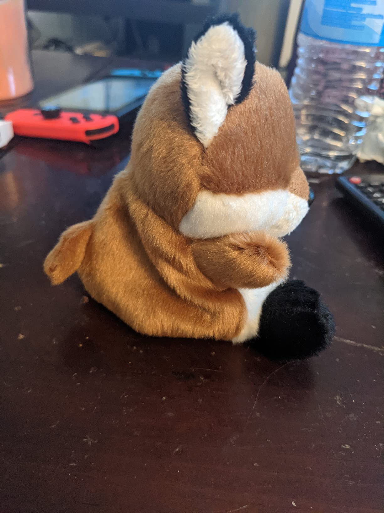 Palm Pals - SLY FOX - Forest Collection