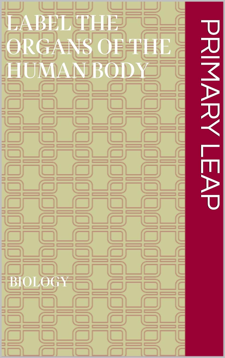Amazon.com: Label the organs of the human body eBook : Primary leap ...