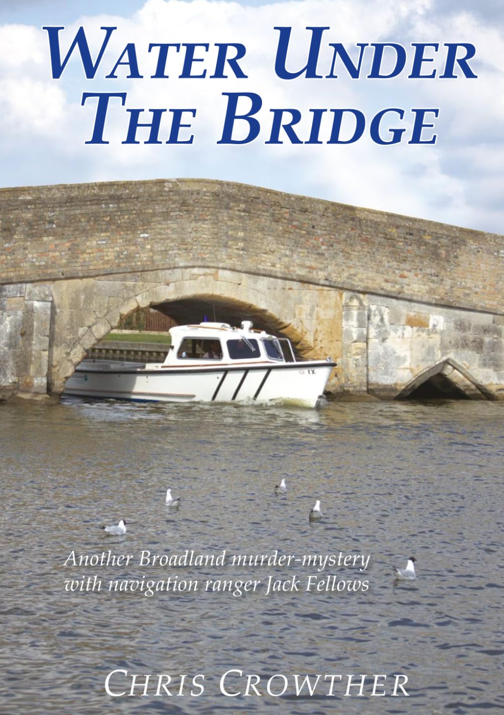 Water Under the Bridge (The "Jack Fellows" murder and mystery series ...