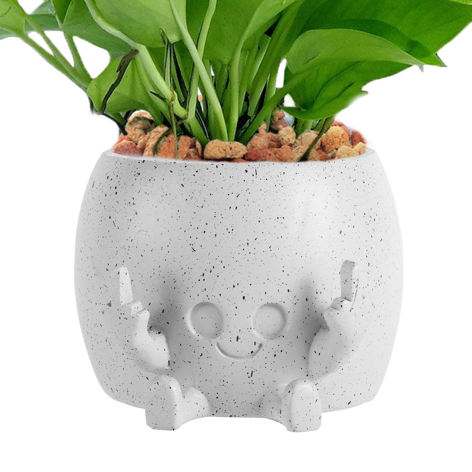 Amazon.com : Smiling Plant Pot with Middle Fingers, Funny Face Planter ...