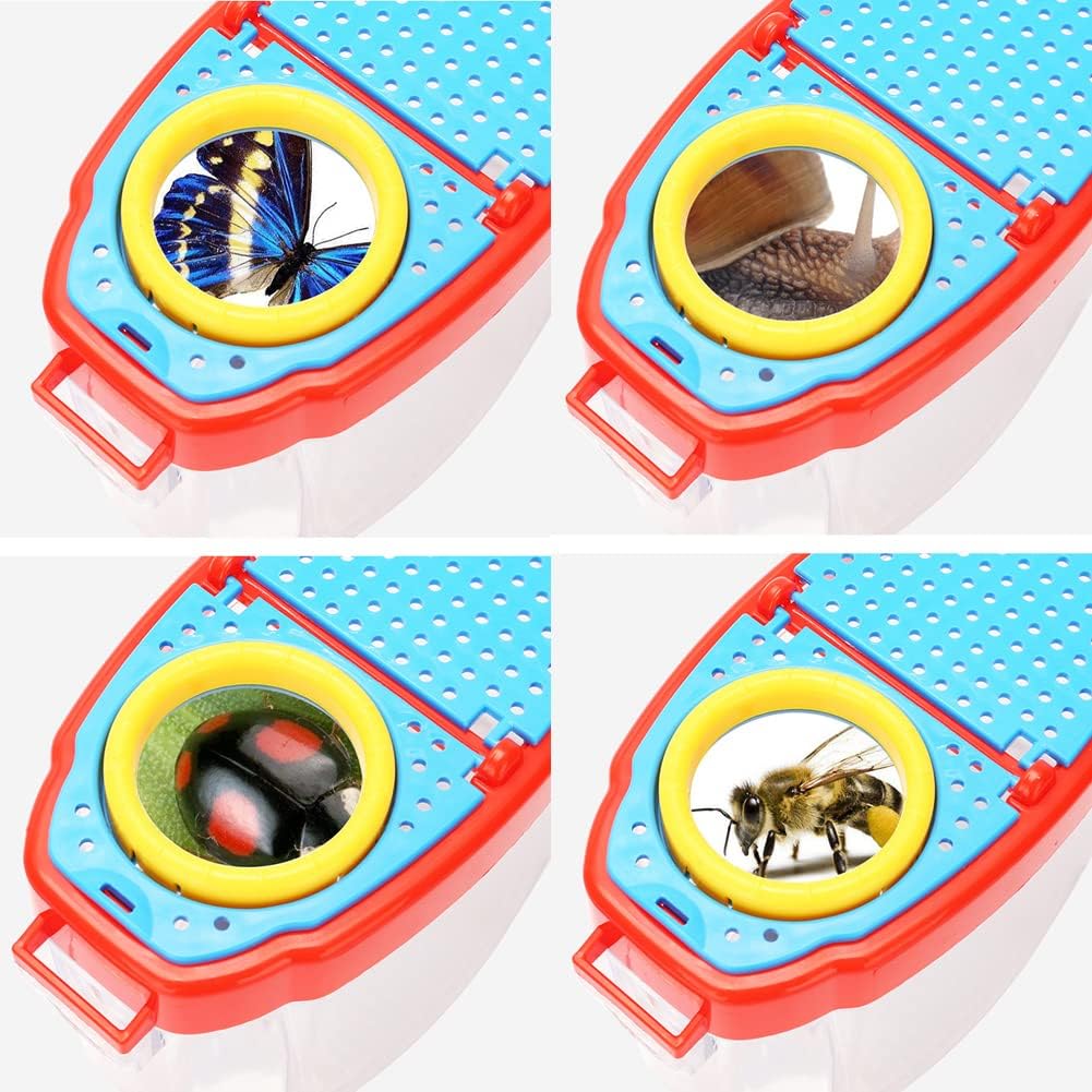 Bug Insect Viewer Magnifier Box 6X Magnifying Glass Loupe Bug Catcher ...