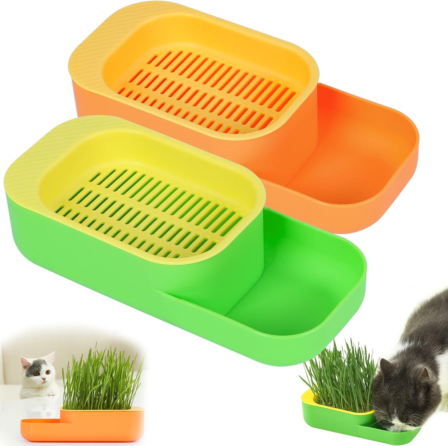 Amazon.com : Sozize 2Pcs Hydroponic Cat Grass Planter Wheat Cat Grass ...