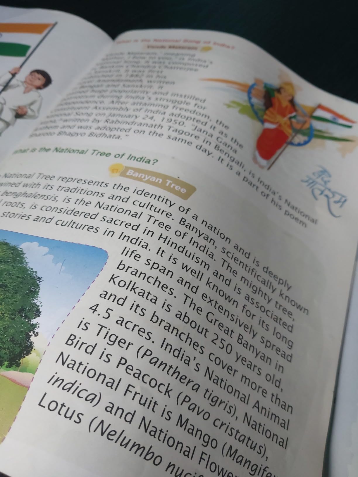 Buy Kids Encyclopedia (Illustrated) - India - General Knowledge ...