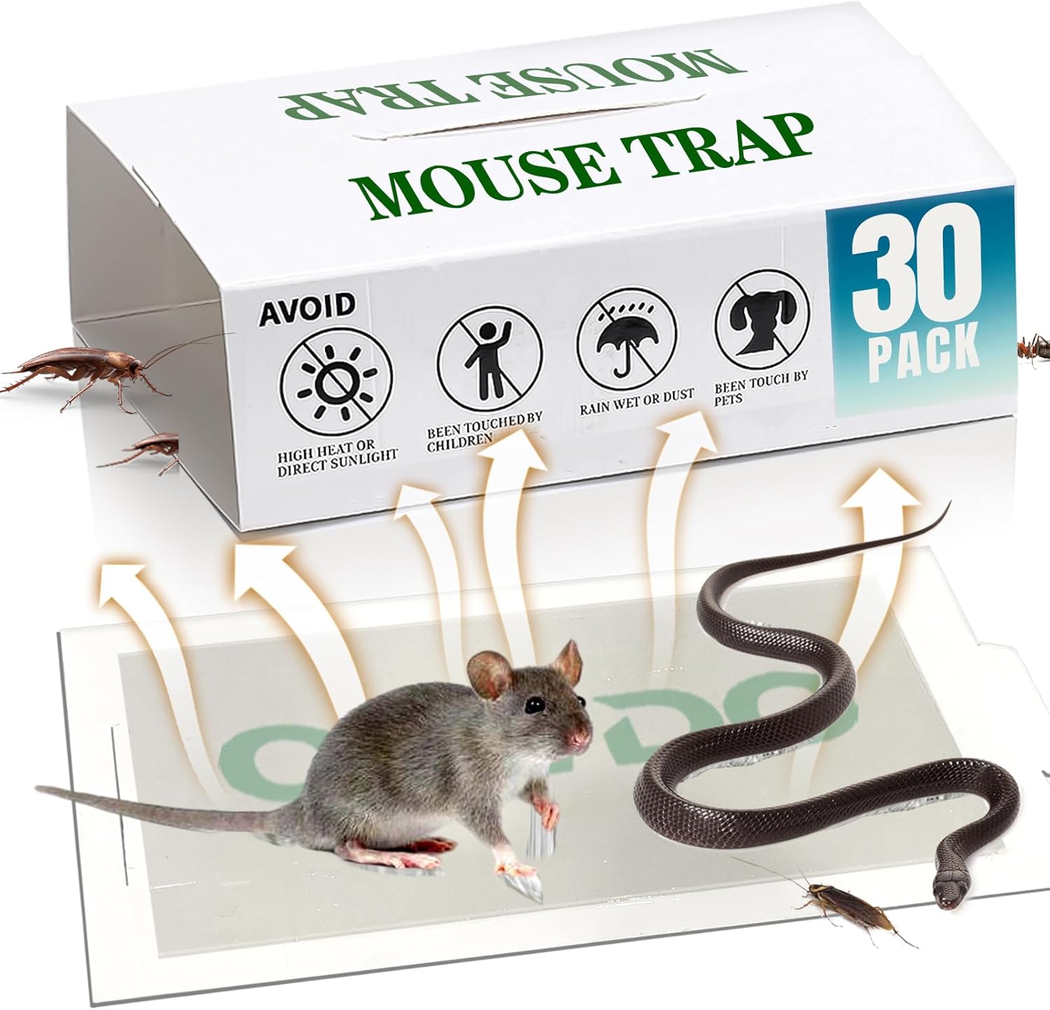 Amazon.com : osvdo 30 Boards Pest Glue Trap, Sticky Paper Clue Traps ...