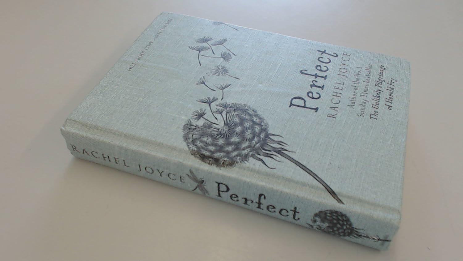 Perfect: Joyce, Rachel: 9780385677721: Books - Amazon.ca