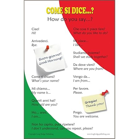 Amazon.com: Long Bridge Publishing Italian Language Poster - Common ...