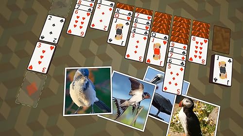 Solitaire Birds TV - App on Amazon Appstore