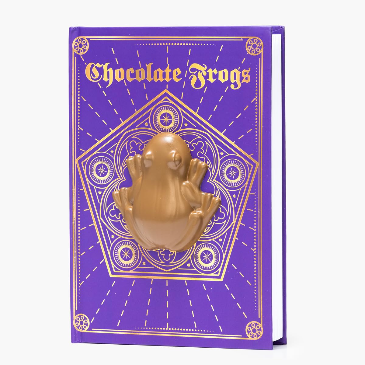 Amazon.com : CHARMED AROMA Harry Potter™ Notebook | Journals Diary ...