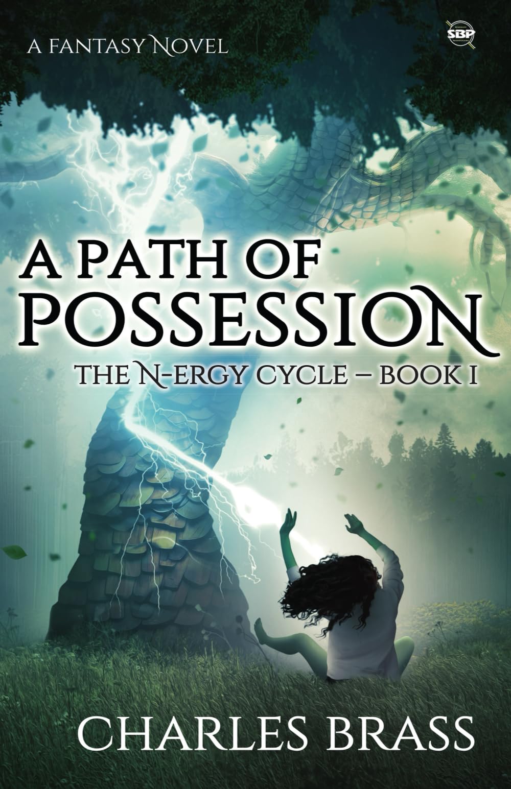 Amazon.com: A Path of Possession (The N-ergy Cycle): 9781947713253 ...