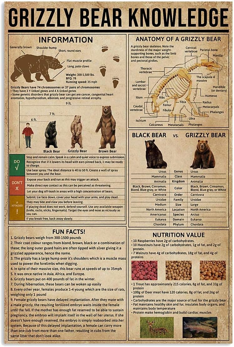 Amazon.com : Grizzly Bear Knowledge Metal Tin Signs Grizzly Bear ...