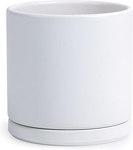 Amazon.com : D'vine Dev 10 Inch Ceramic Planter Pot with Drainage Hole ...