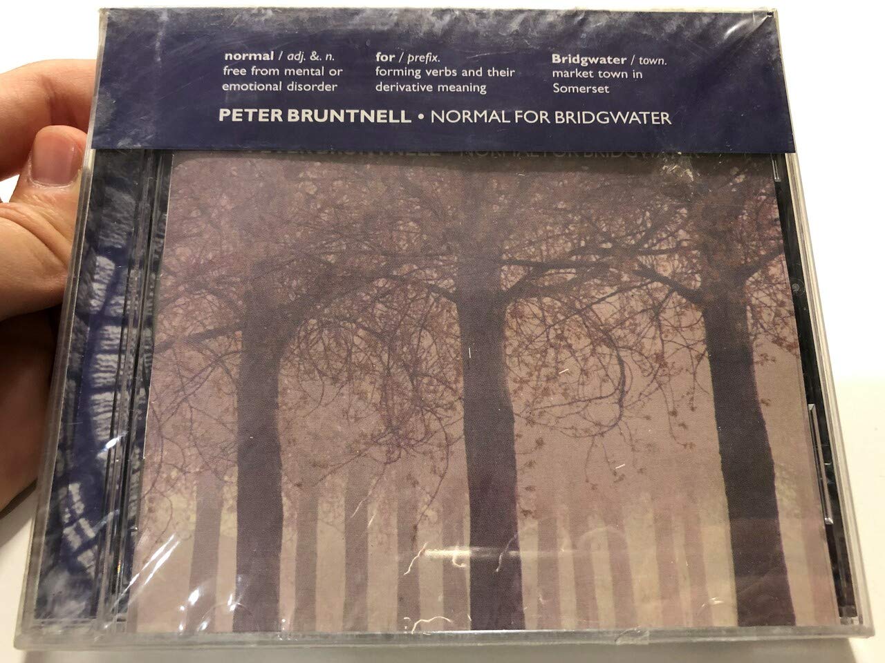 Bruntnell, Peter, Peter Bruntnell - Normal For Bridgwater - Amazon.com ...