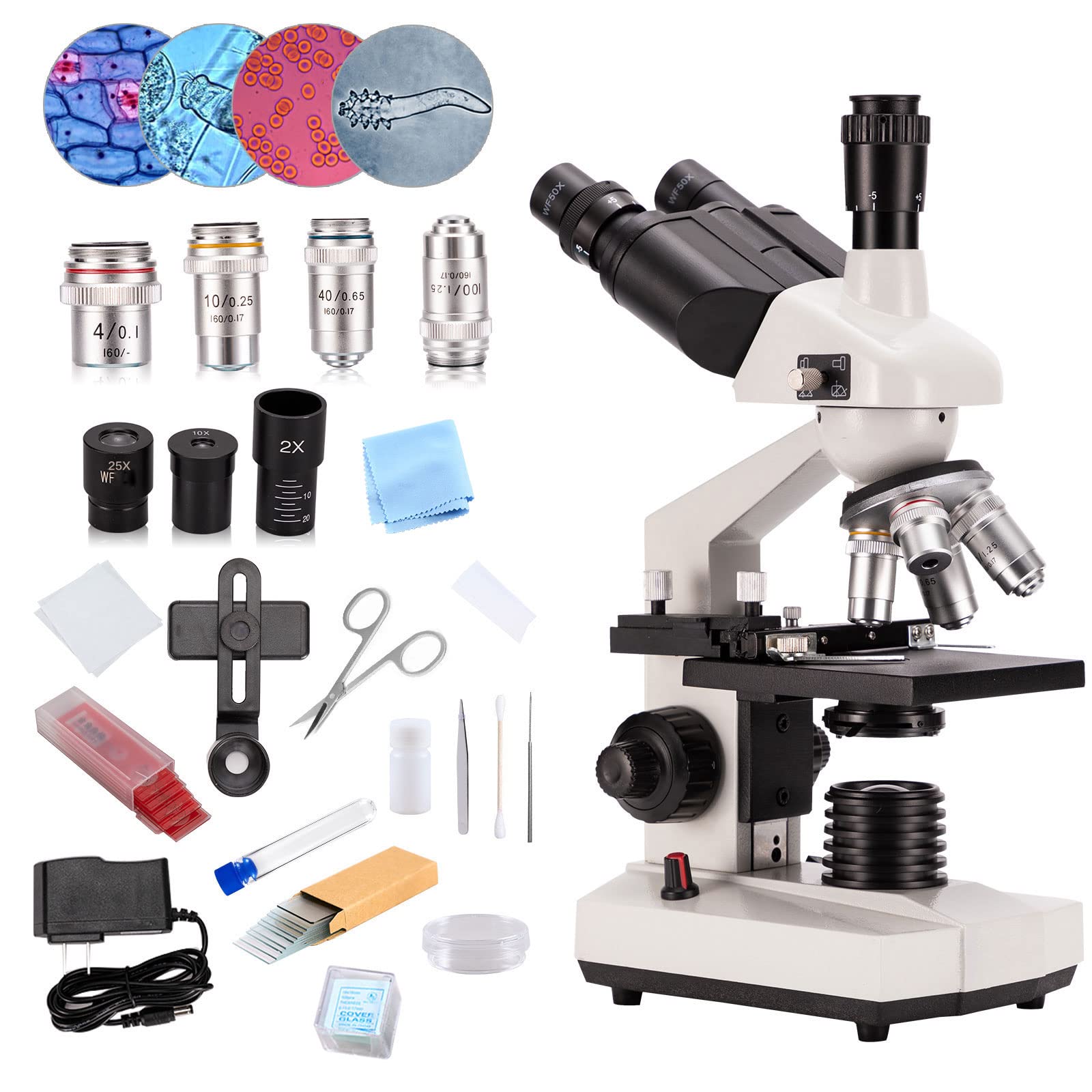 Buy 40X-5000X Magnification, Compound trinocular Micro, WF10x and WF20x ...