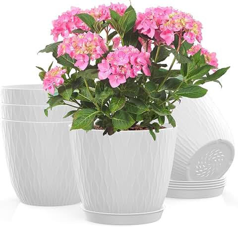 Amazon.com: Planters - Planters / Gardening Pots, Planters ...