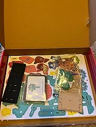 Amazon.com: Smartivity Kids First Science Kit for Ages 8-9-10-11-12-13 ...