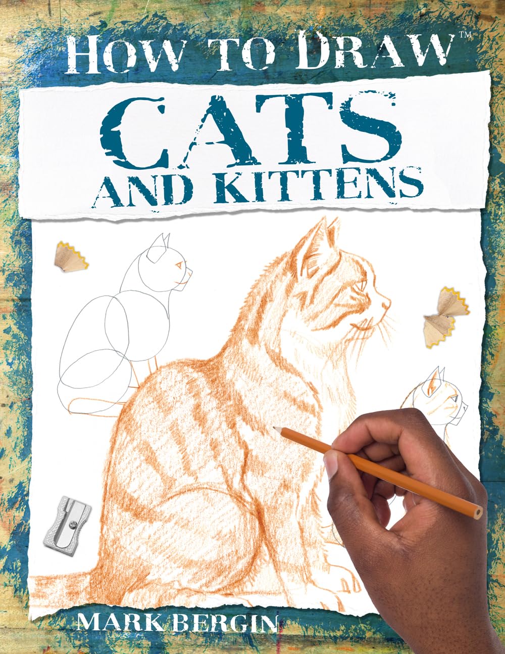 Cats and Kittens (How to Draw): Bergin, Mark: 9781913971731: Amazon.com ...