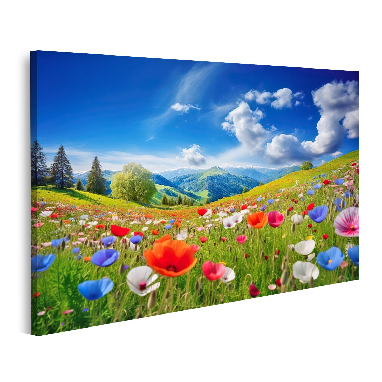 Beau Paysage Printanier