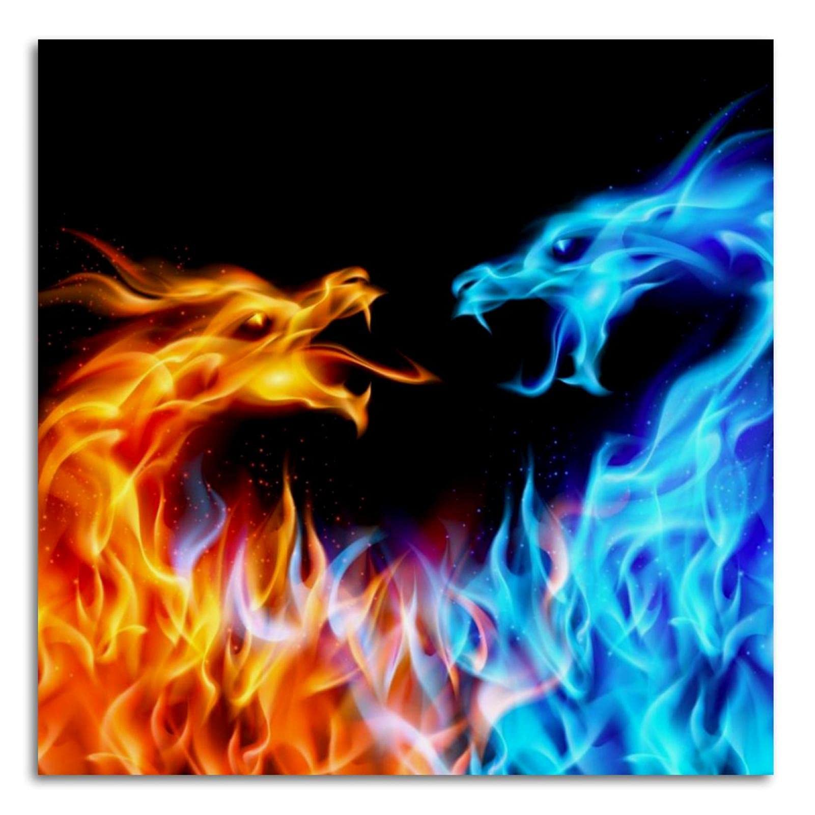 Blue And Red Fire Dragons