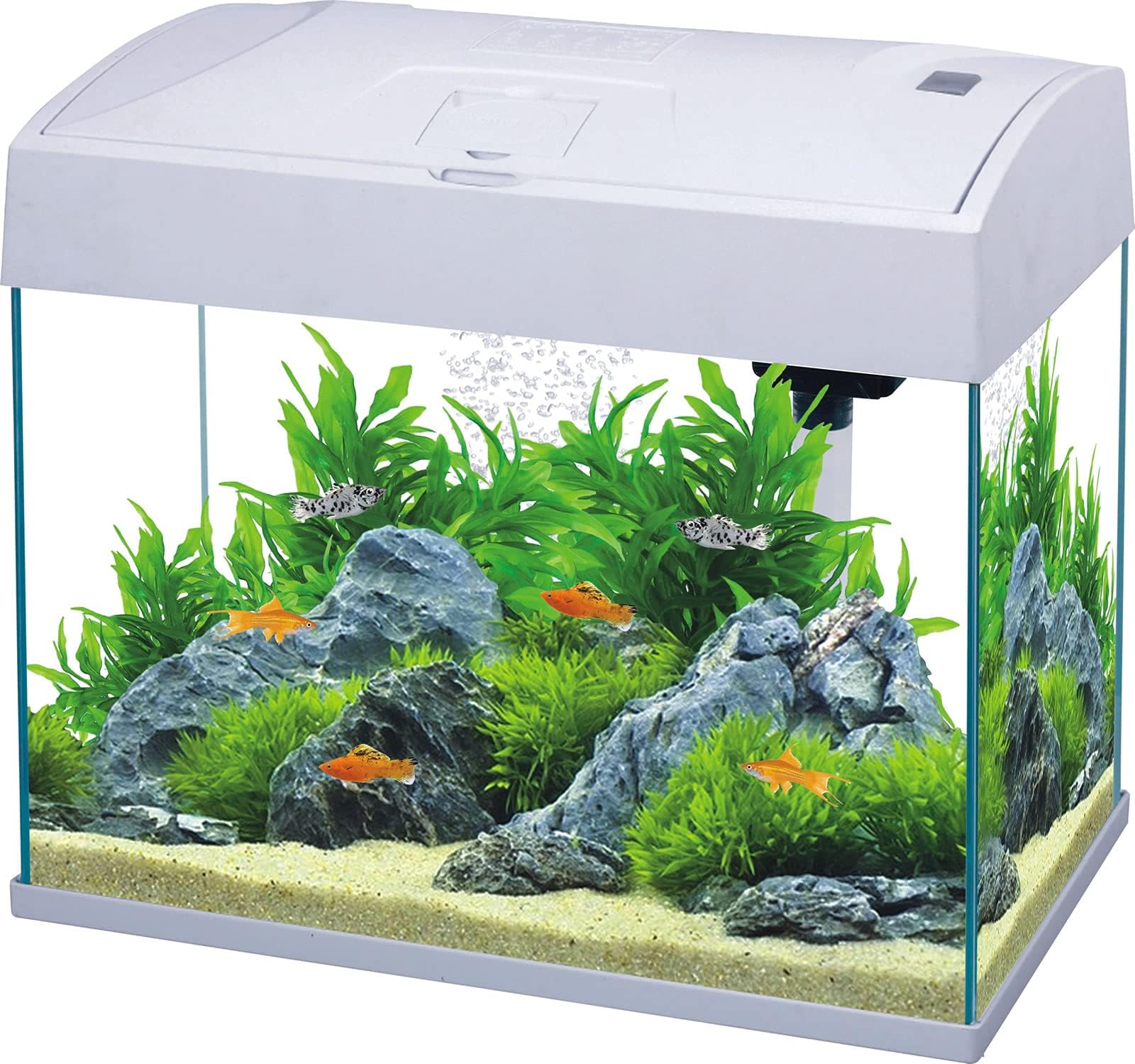 Fish 'R' Fun Rectangular Tank, 20 Litre Capacity, White : Amazon.co.uk ...