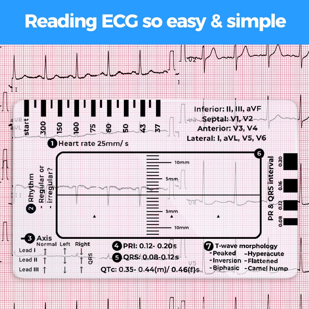 7 Step ECG 7 Step Ruler - Transparent Plastic EKG Interpretation Tool ...