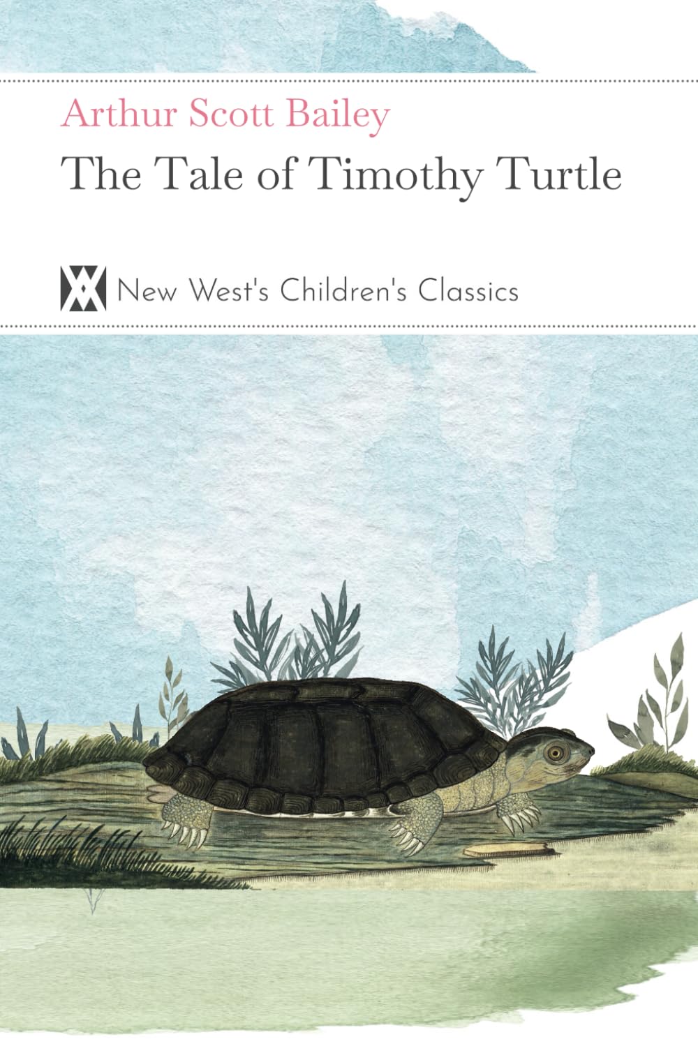 The Tale of Timothy Turtle: Bailey, Arthur Scott: 9781649652737: Amazon ...