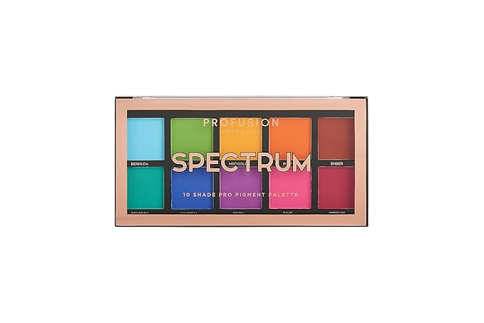 Amazon.com : Profusion Cosmetics 10 Shade Eyeshadow Palette - High ...