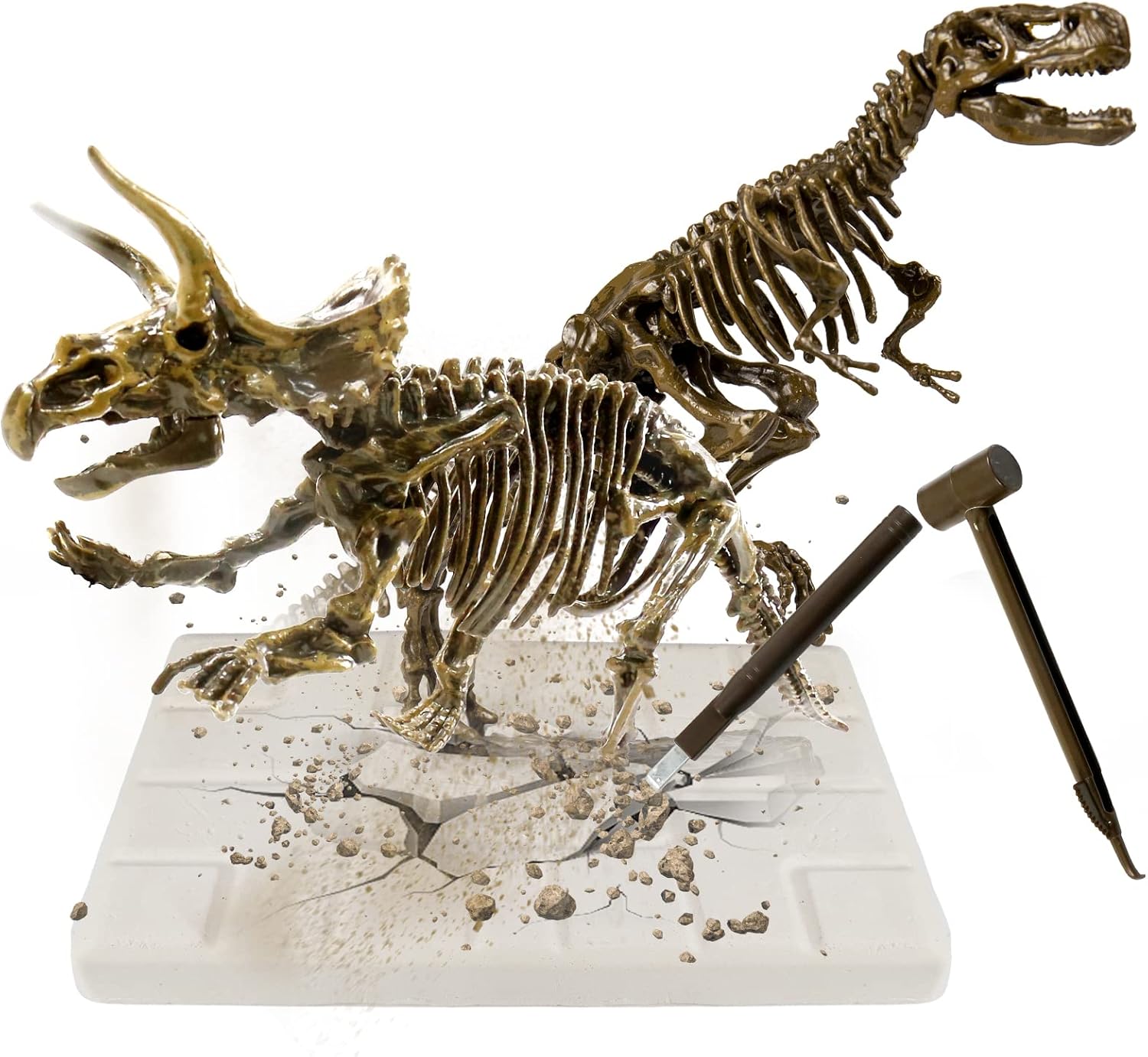 Amazon.com: KidEwan Dinosaur Digging Fossil Kit for Kids,Dino ...