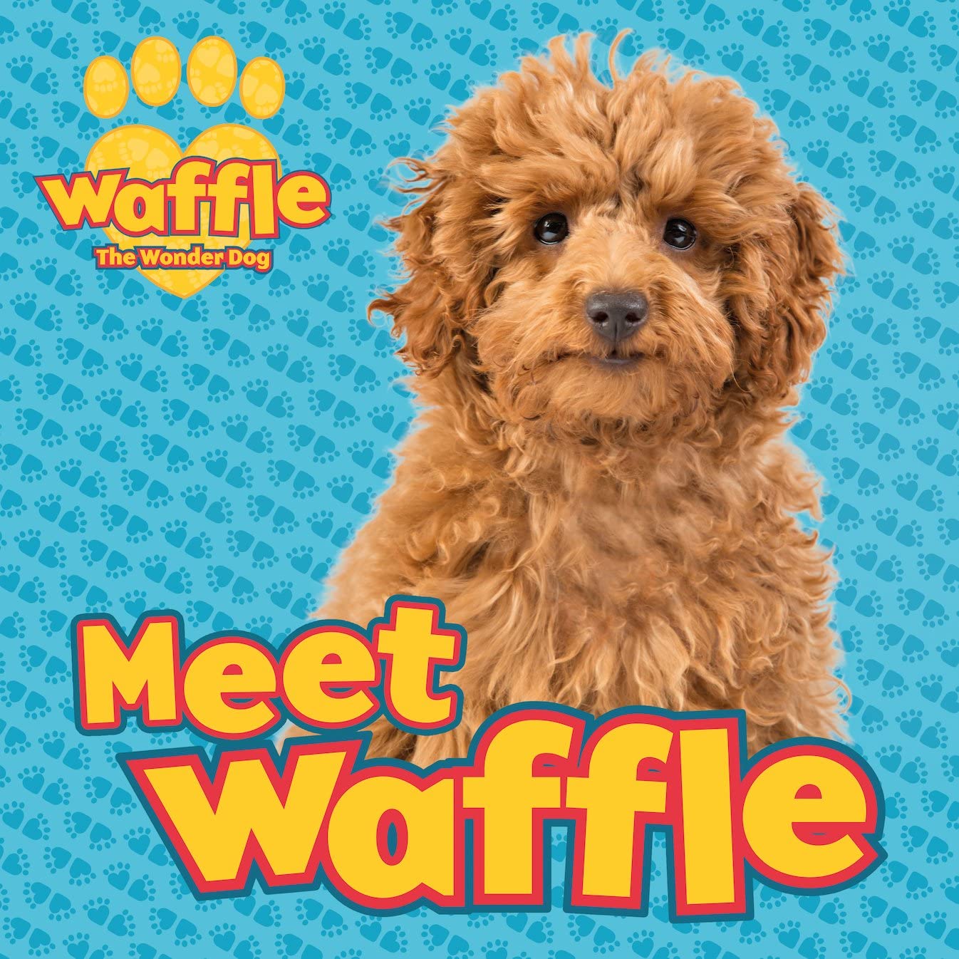 Meet Waffle!: 1 (Waffle the Wonder Dog): Amazon.co.uk: Scholastic ...