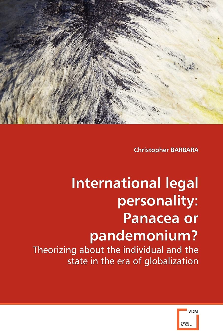 International legal personality: Panacea or pandemonium? Theorizing ...