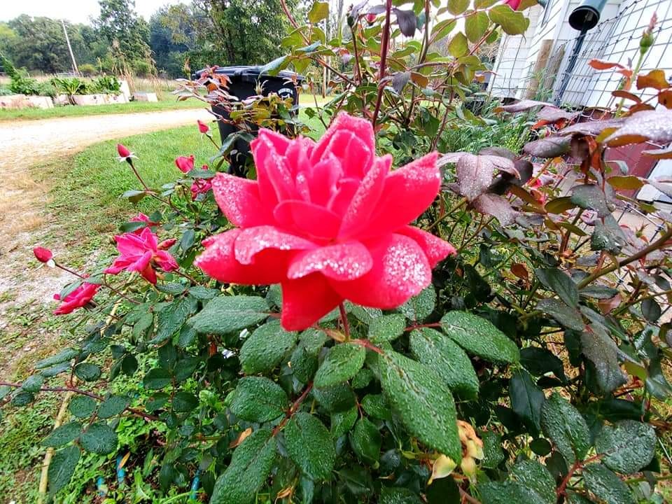 $9/mo - Finance Flexzilla Garden Hose Kit with Quick Connect ...