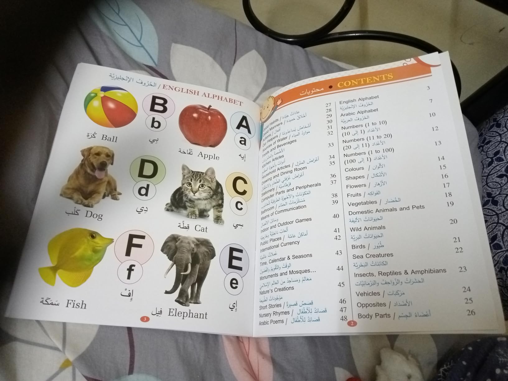 Buy All in One (English-Arabic) | By Sawan Book Online at Low Prices in ...