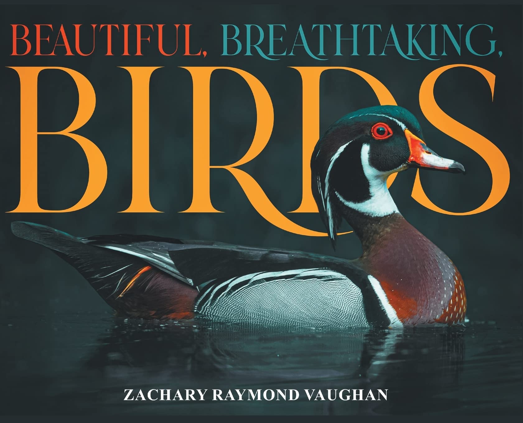 Beautiful, Breathtaking, Birds: Vaughan, Zachary Raymond: 9798887222714 ...